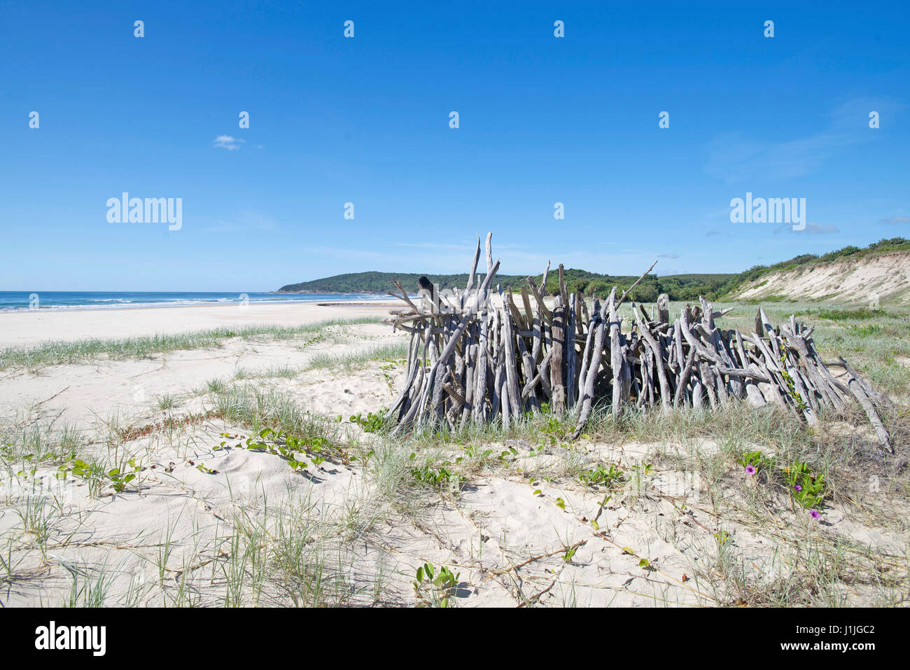 Angourie beach hi-res stock photography and images - Alamy