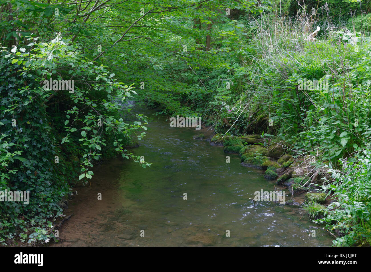 The stream at Dyserth Stock Photo - Alamy