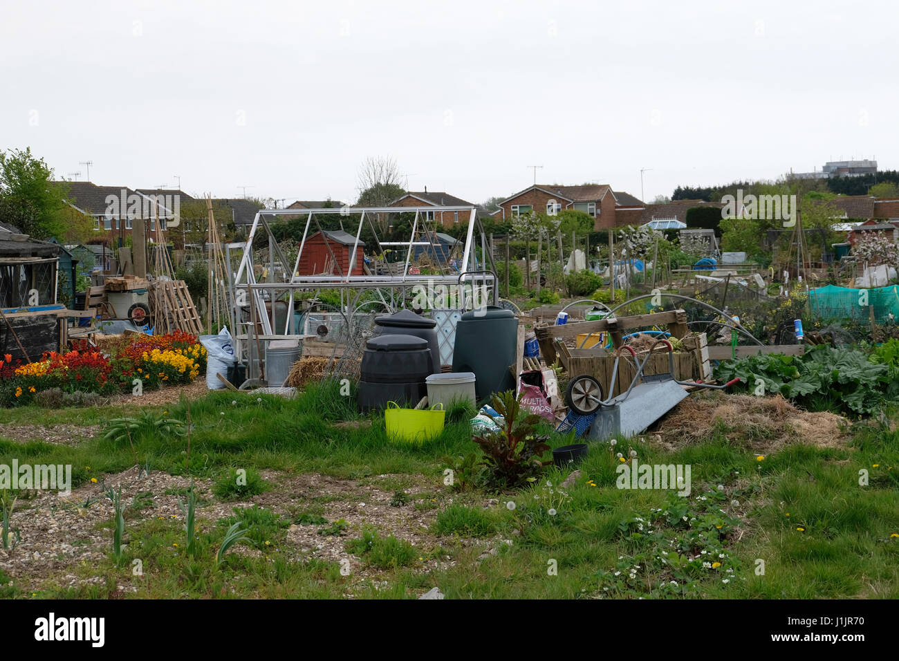 Untidy garden hi-res stock photography and images - Alamy