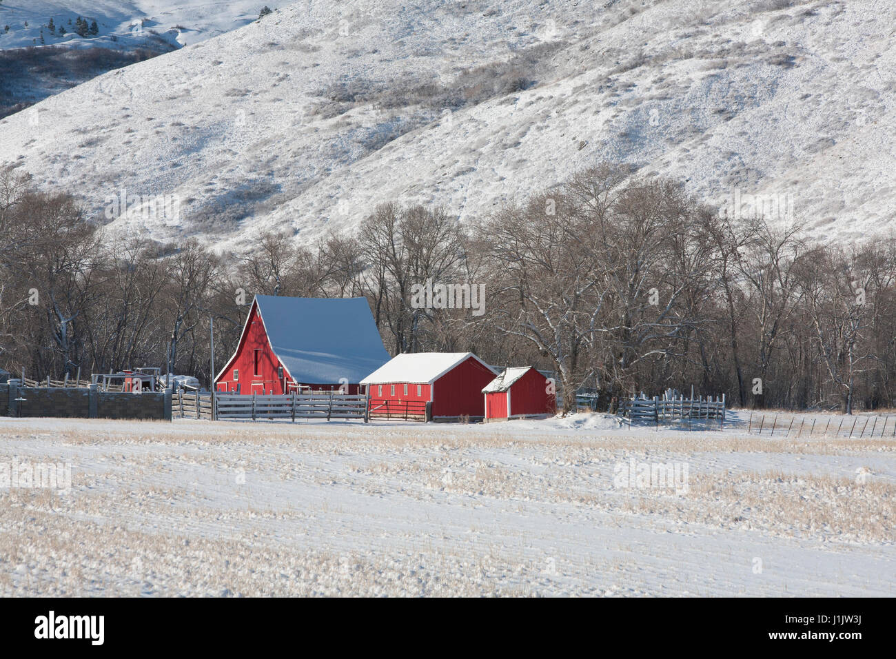 Bright red barn in snowy ranch scene, Kings Hill Scenic Byway Stock ...