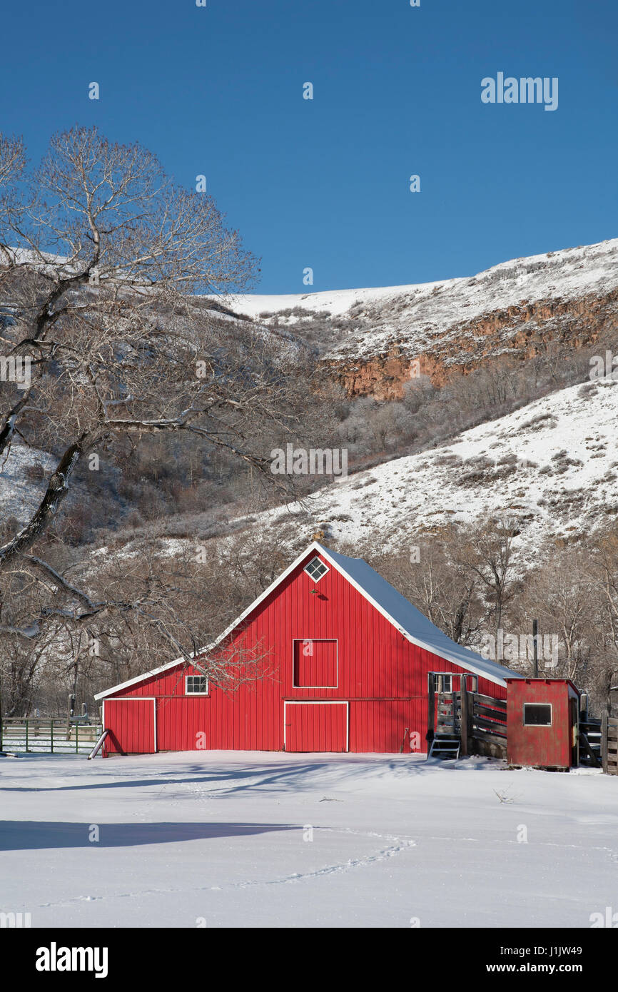 Bright red barn in snowy ranch scene Stock Photo - Alamy
