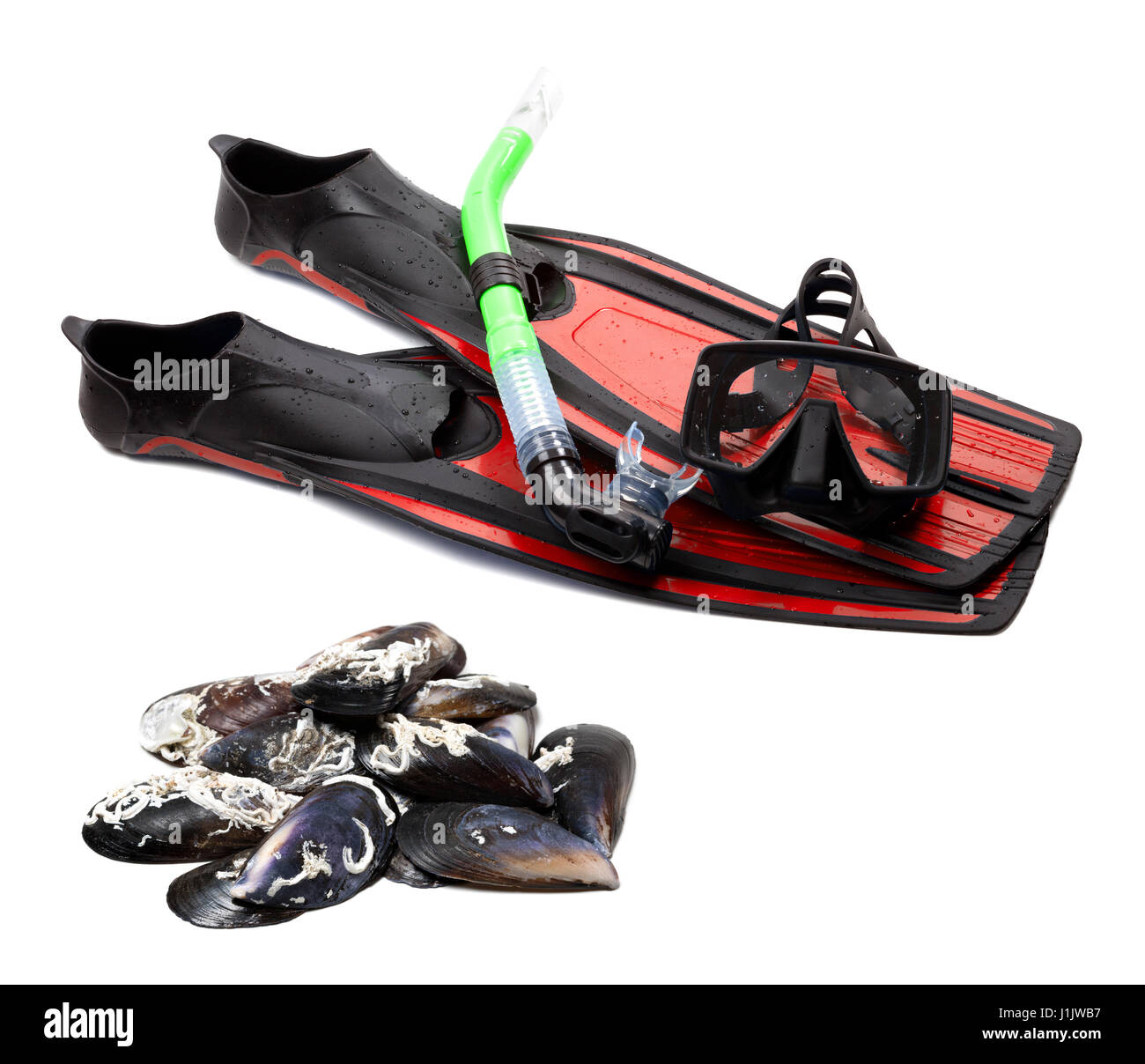Diving equipment and shells of mussels. Isolated on white background ...