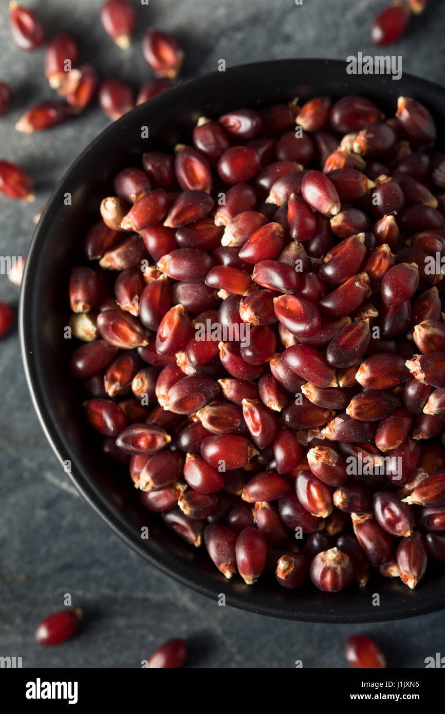 Raw Organic Ruby Red Pop Corn in a Bowl Stock Photo - Alamy