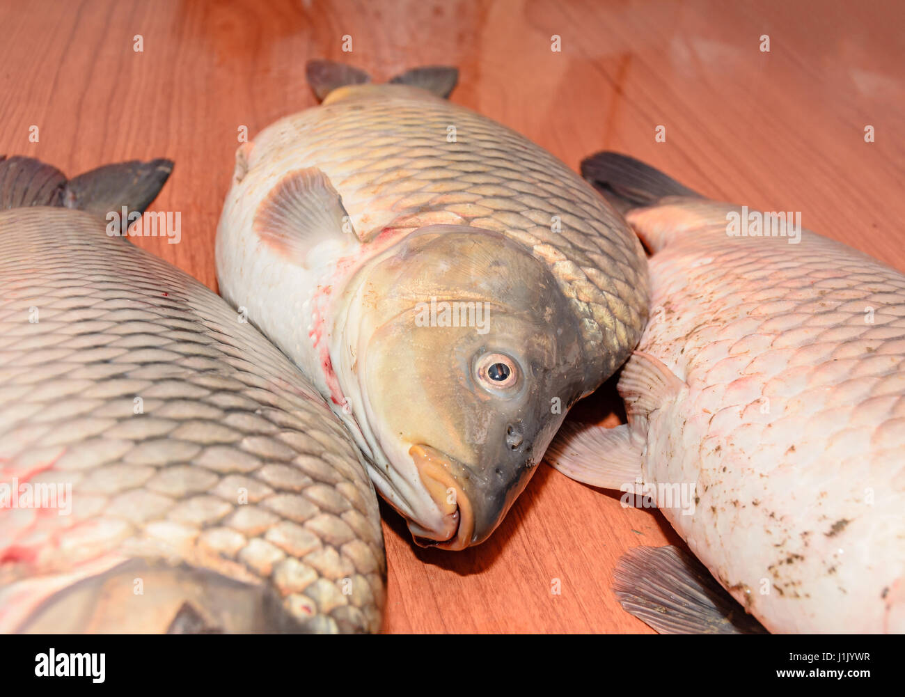 Carp fishes close up, raw meat, isolated on wood background Stock Photo ...