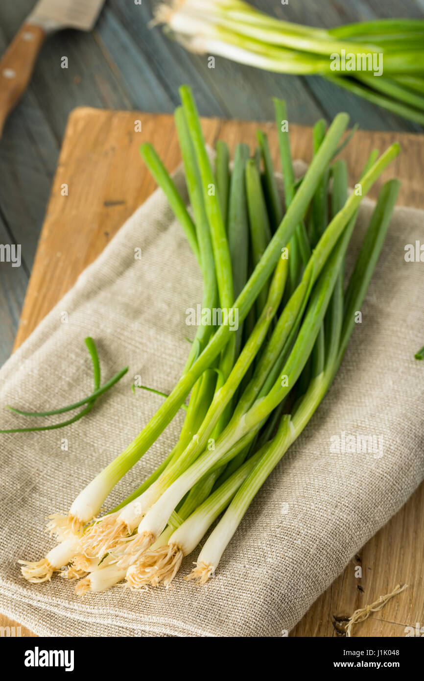 Raw Organic Green Onions Ready to Chop Stock Photo - Alamy