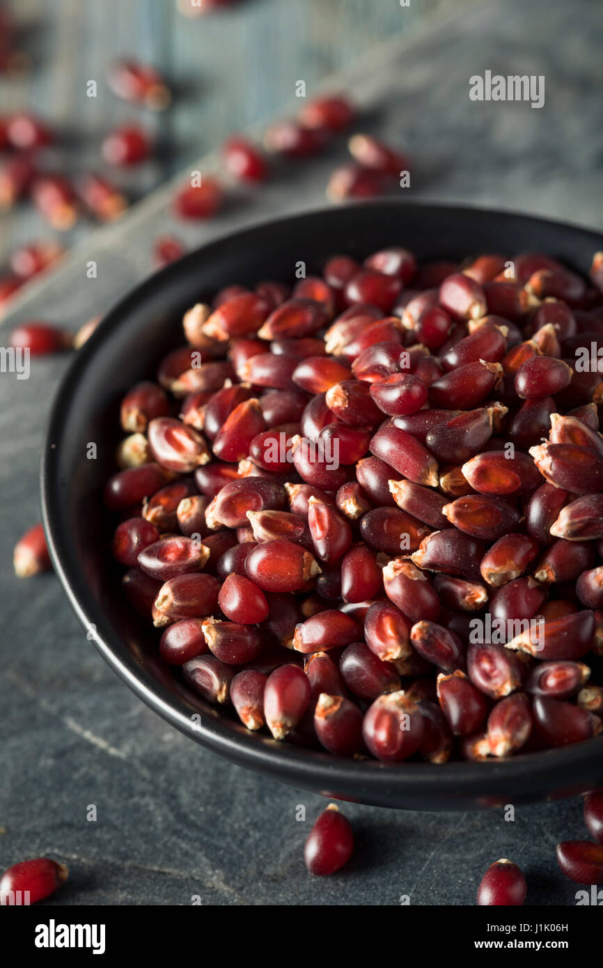 Raw Organic Ruby Red Pop Corn in a Bowl Stock Photo - Alamy