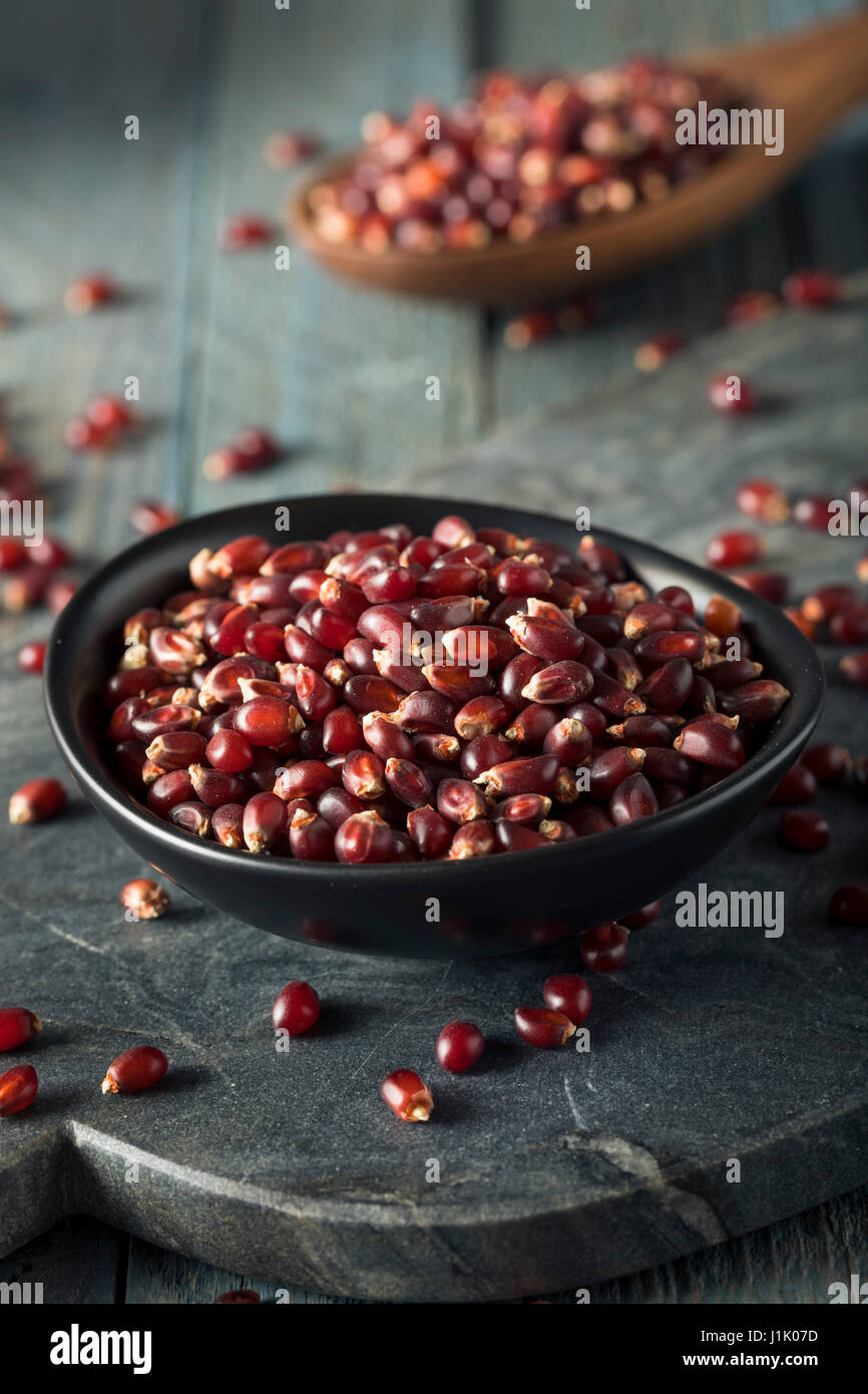Raw Organic Ruby Red Pop Corn in a Bowl Stock Photo - Alamy