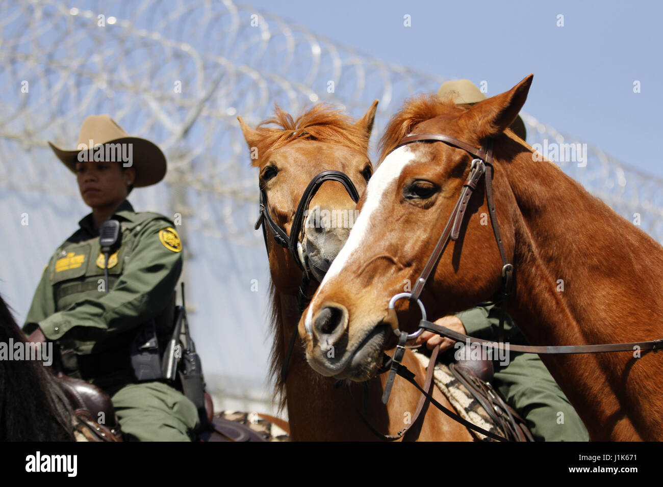 Border patrol horse us hi-res stock photography and images - Alamy