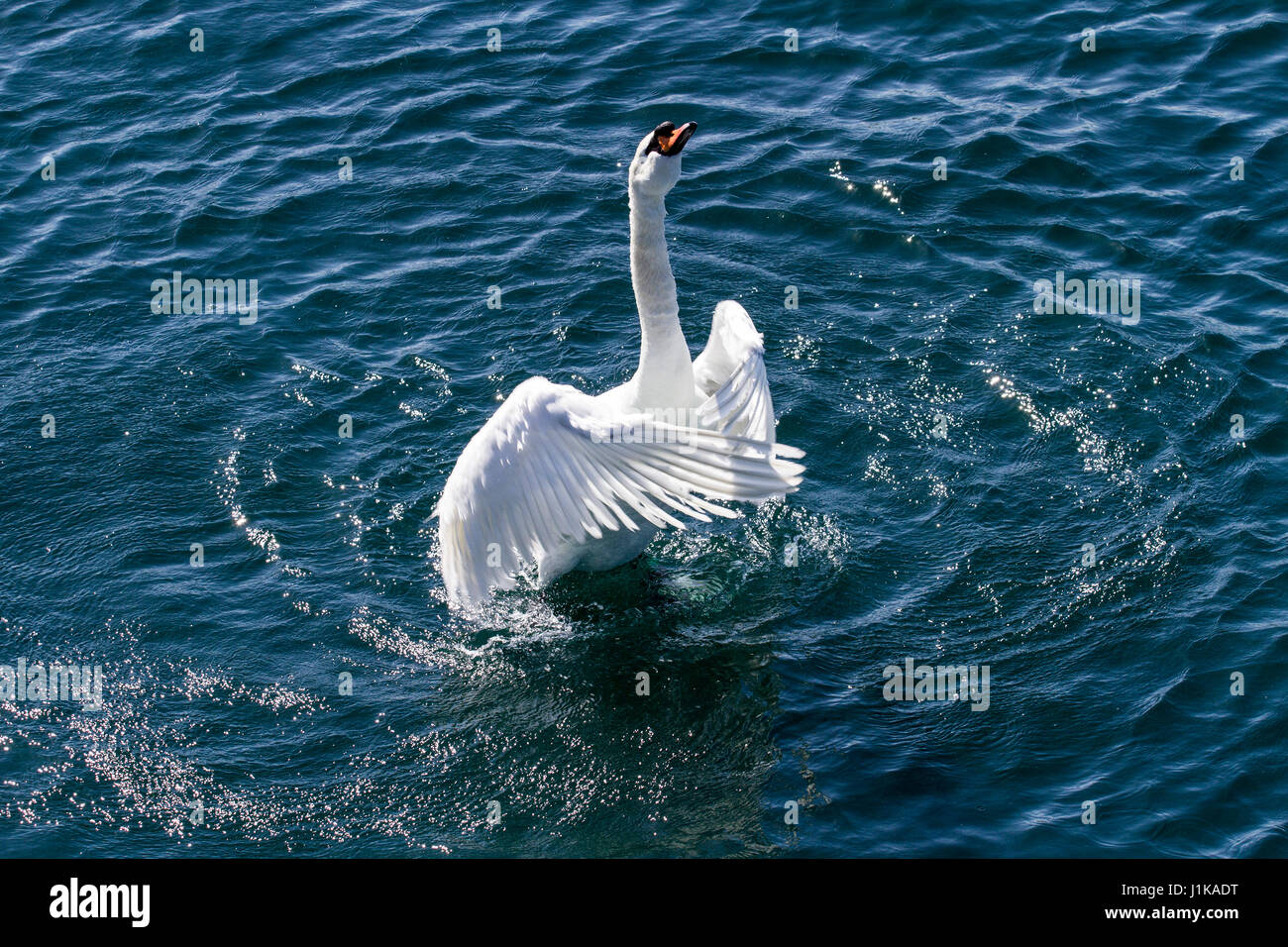 Wind whipping hi-res stock photography and images - Alamy