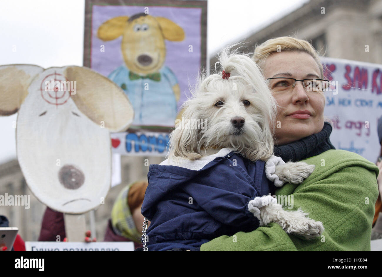 Dogs shout hi-res stock photography and images - Alamy