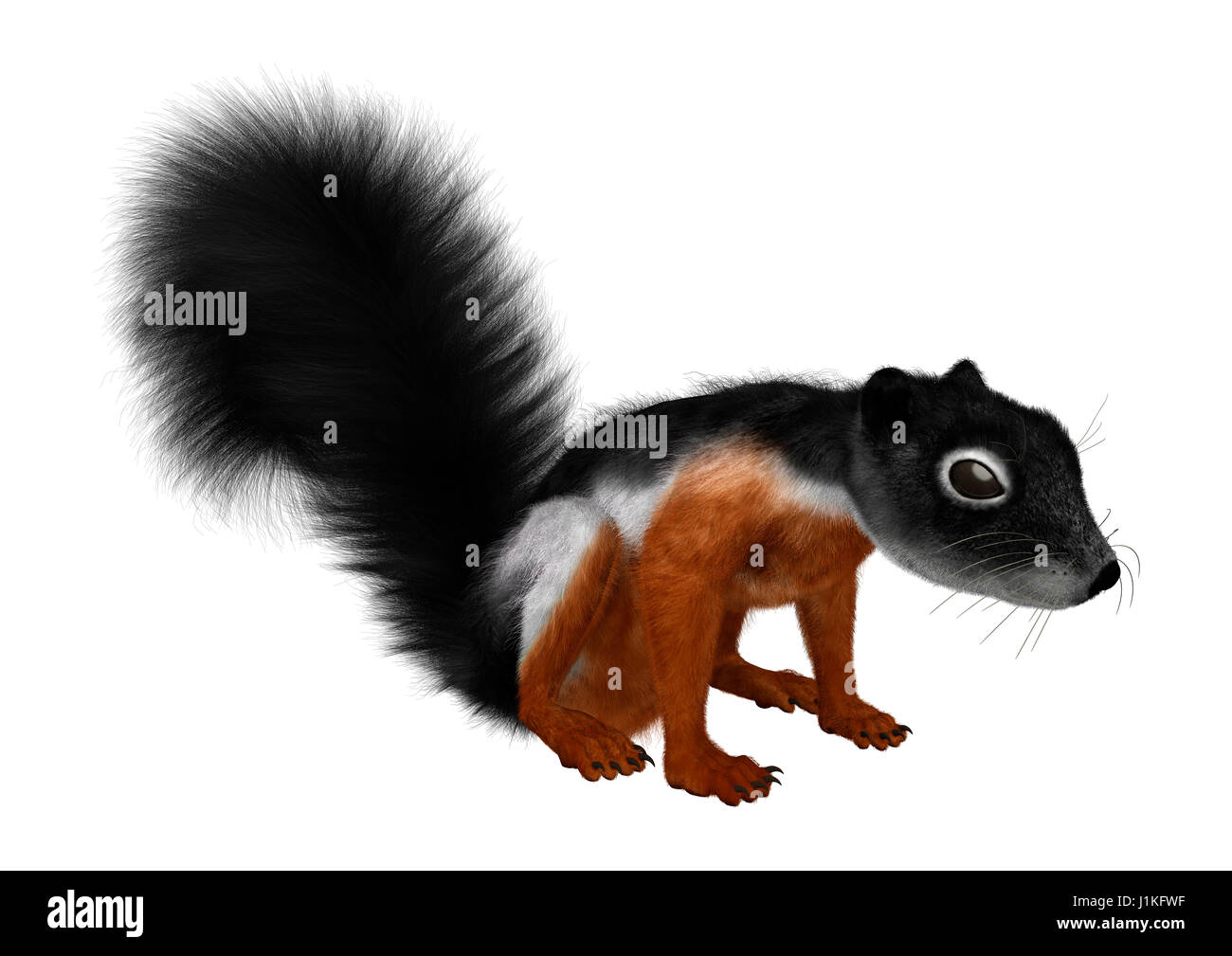 3D rendering of a Prevost's squirrel or Asian tri-colored squirrel ...