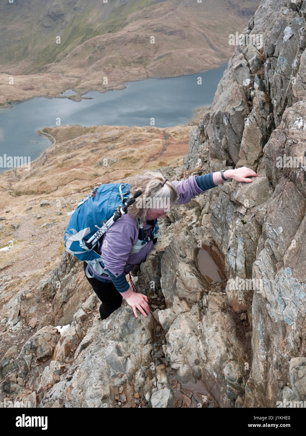 A female scrambler tackles the east ridge of Crib Goch, a scramble in ...