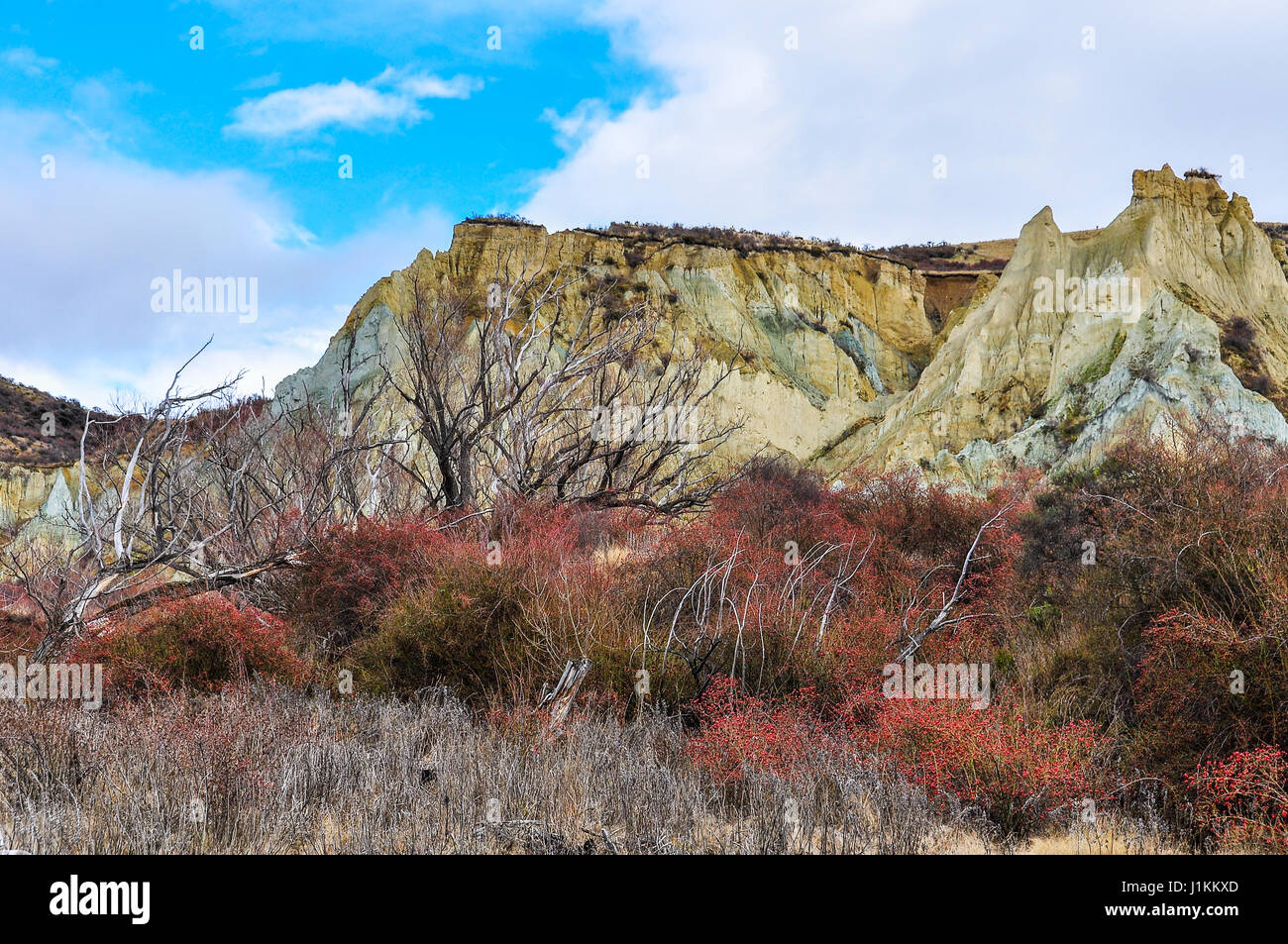The geological formation of Clay Cliffs near Omarama, New Zealand Stock ...