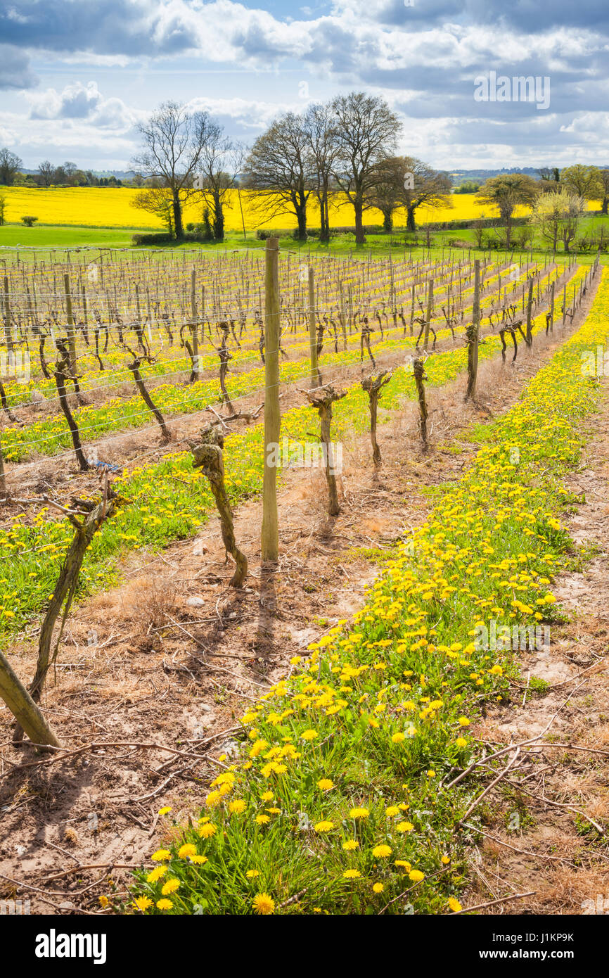 English british spring hi-res stock photography and images - Alamy