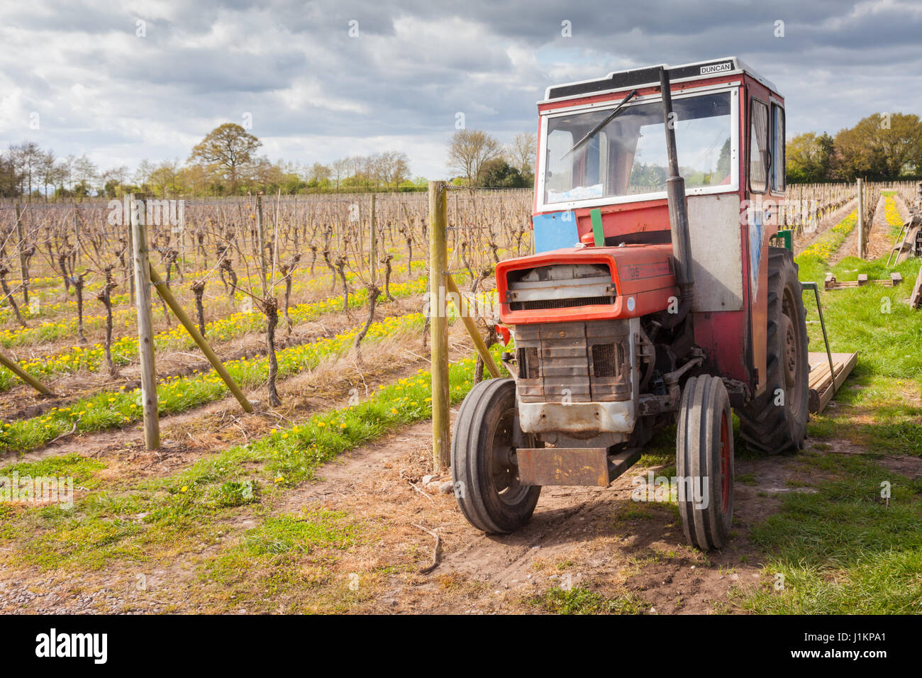 Tractor used on a British English Vineyard, Halfpenny Green ...