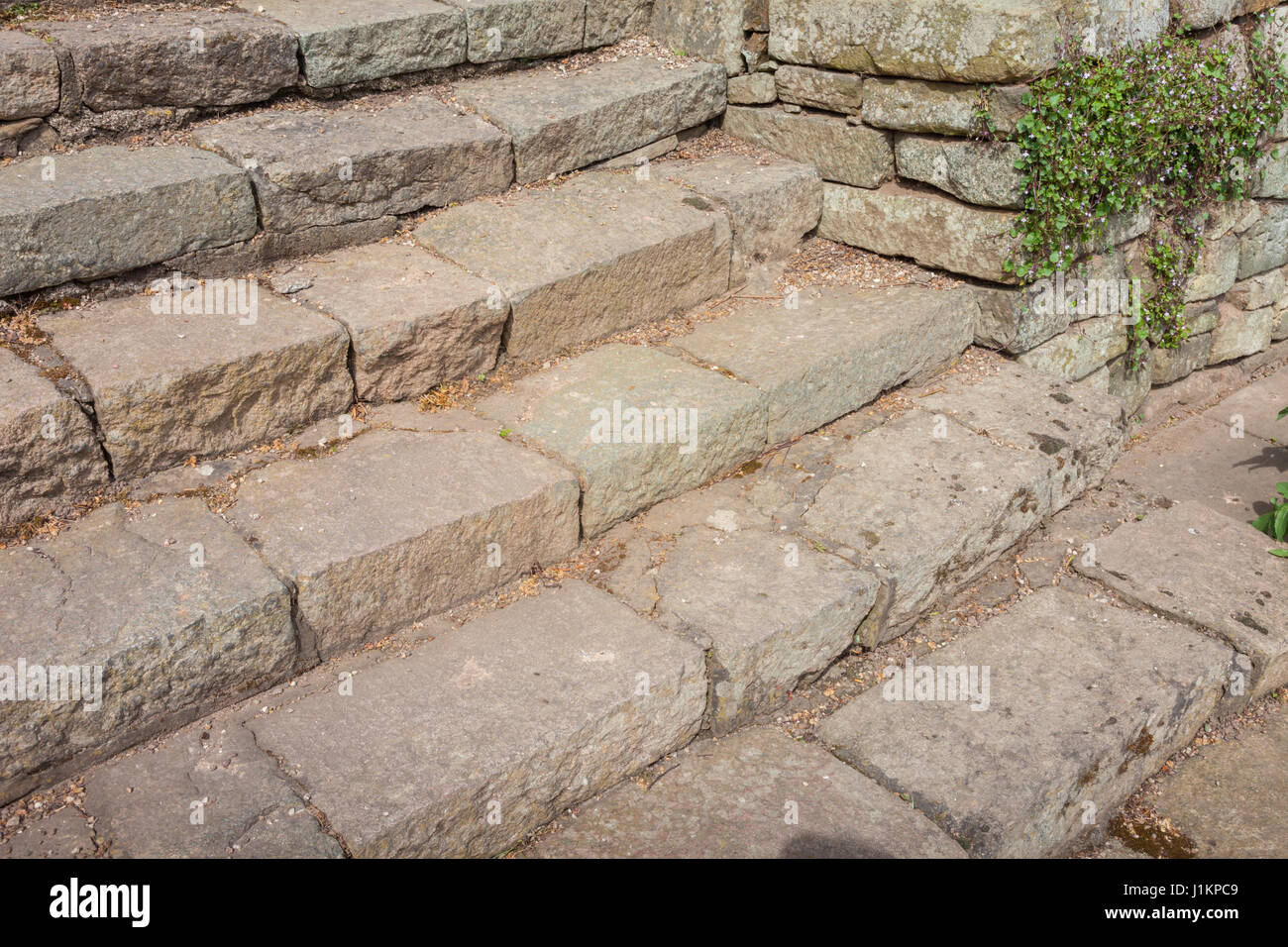 Garden stone steps hi-res stock photography and images - Alamy