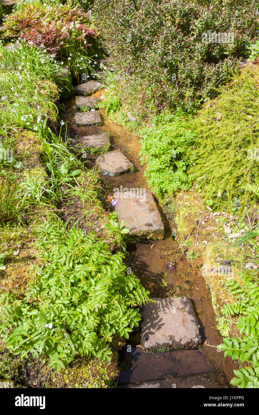 Stepping stone garden hi-res stock photography and images - Alamy