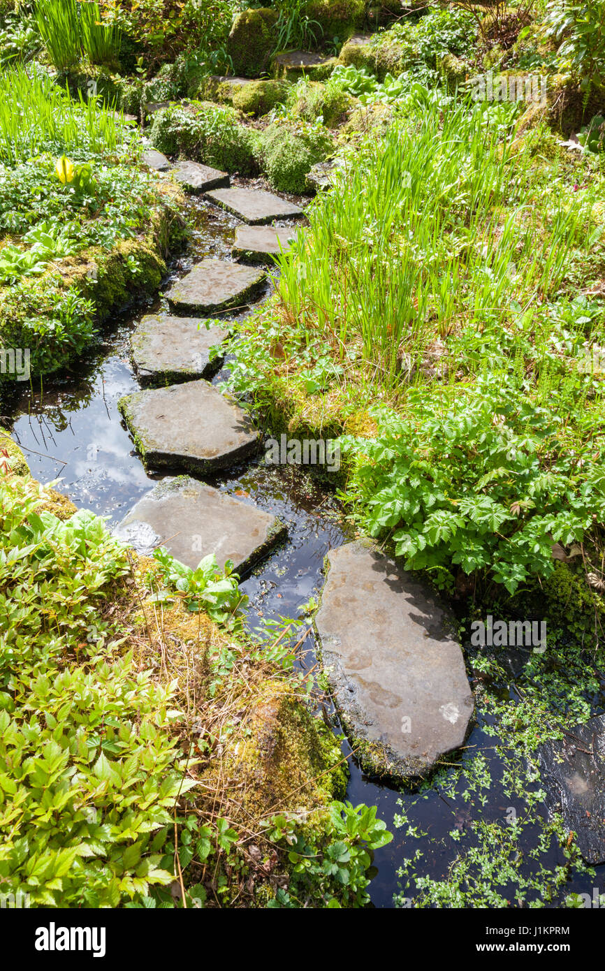Stream water feature hi-res stock photography and images - Alamy