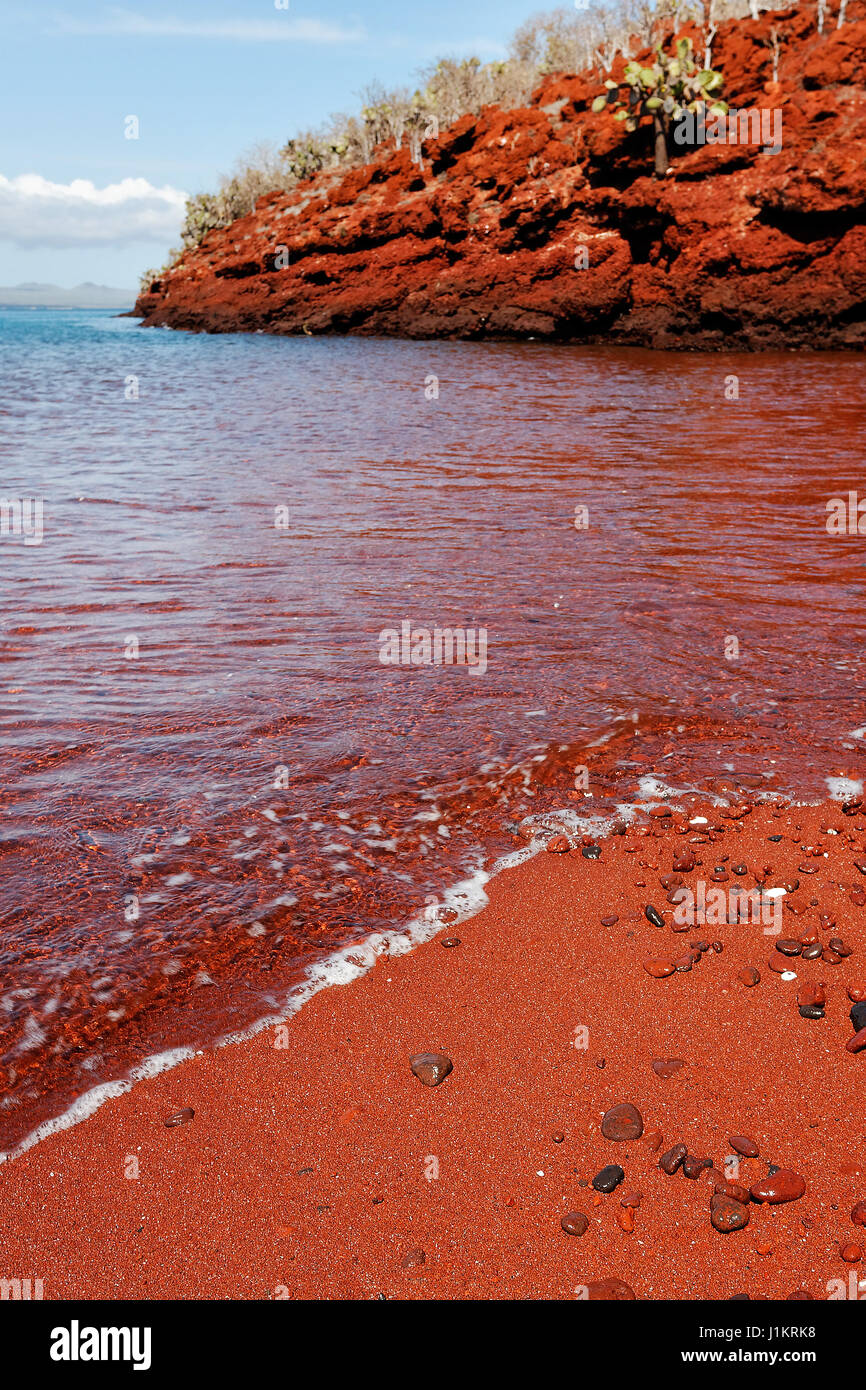 Red beach from Galapagos island, Ecuador Stock Photo - Alamy