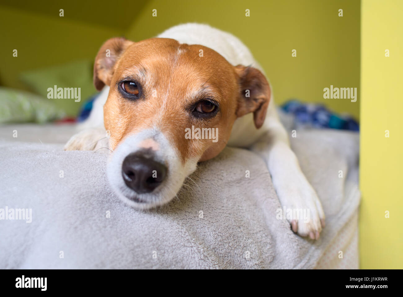 Blue sheet hi-res stock photography and images - Alamy