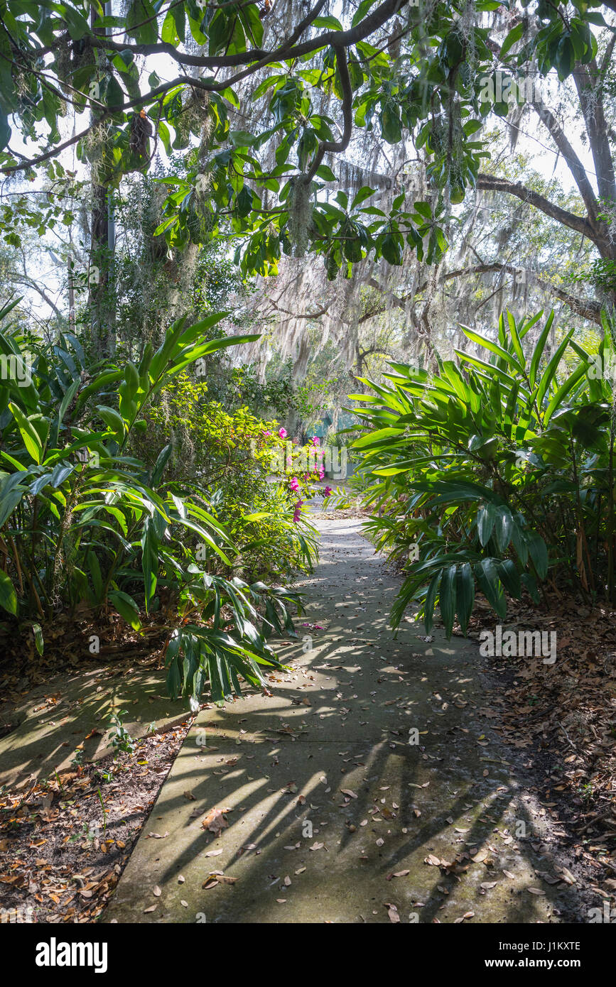 Matheson museum gainesville hi-res stock photography and images - Alamy