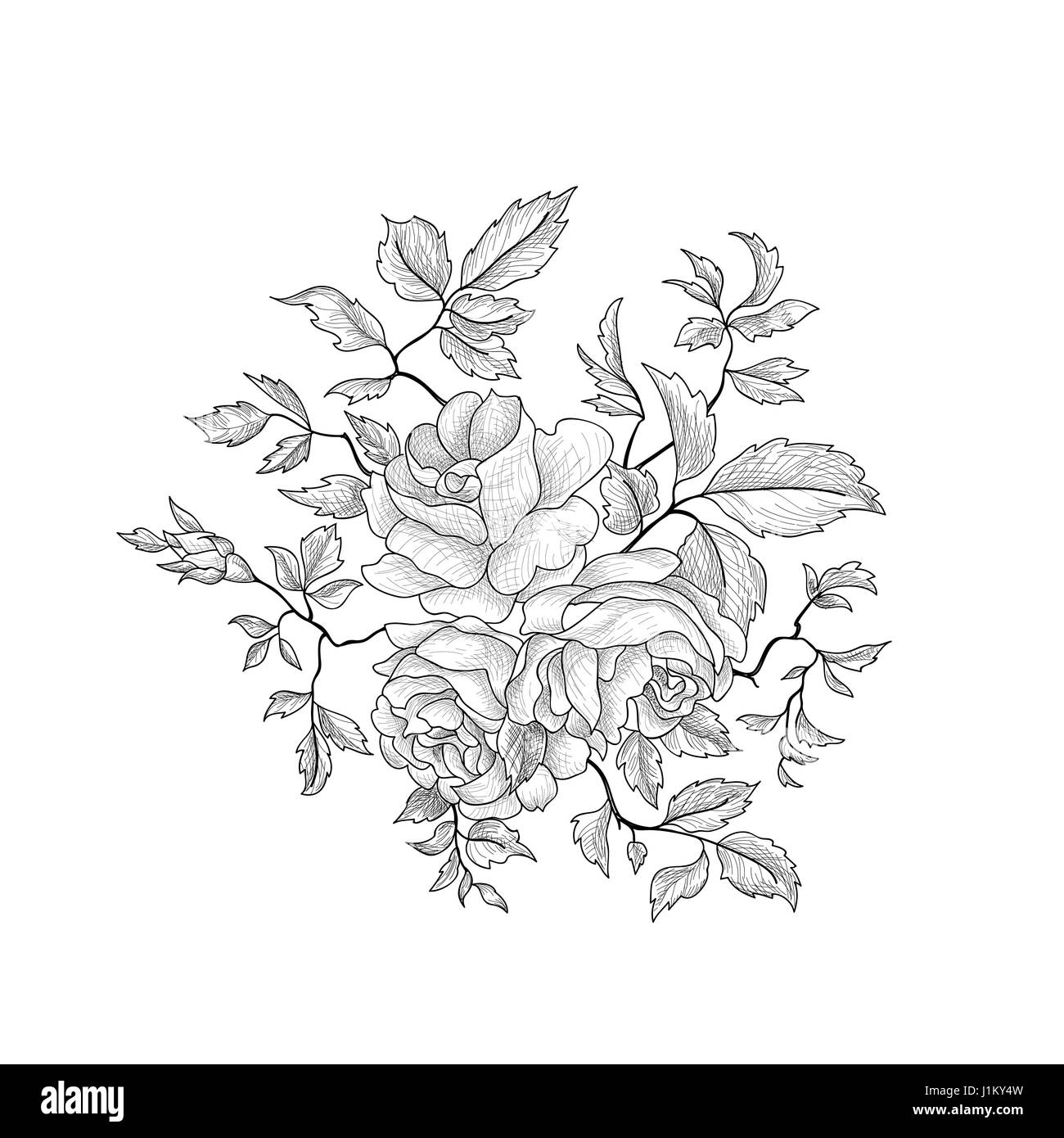 Floral engraved pattern. Flower garden background. Flourish garden ...