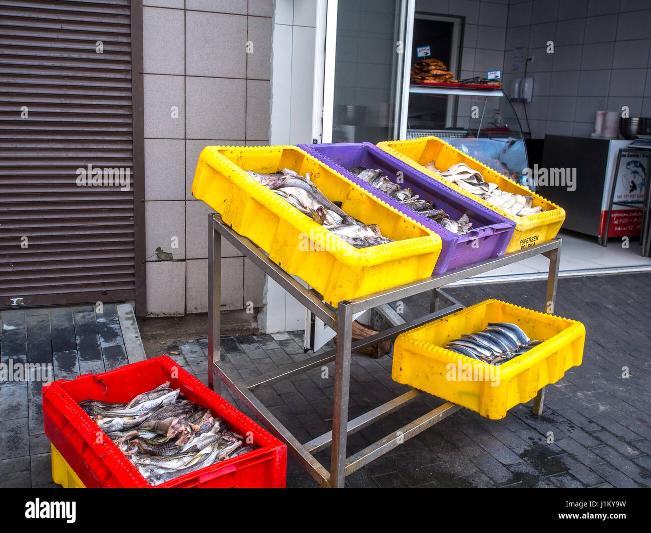 A freshly caught fish in yellow boxes in a fishing port Stock Photo - Alamy