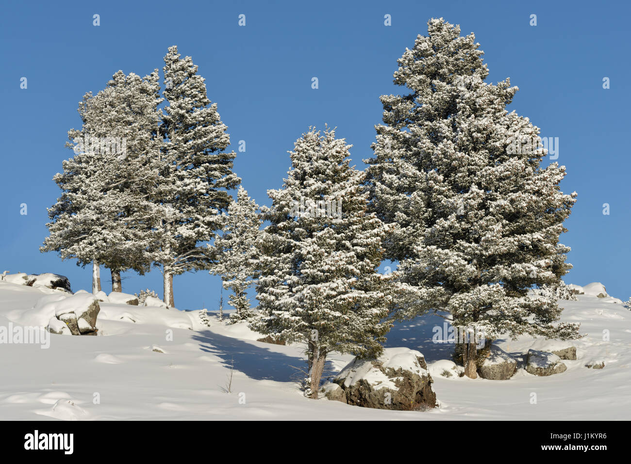 Hills scenic trees hi-res stock photography and images - Alamy