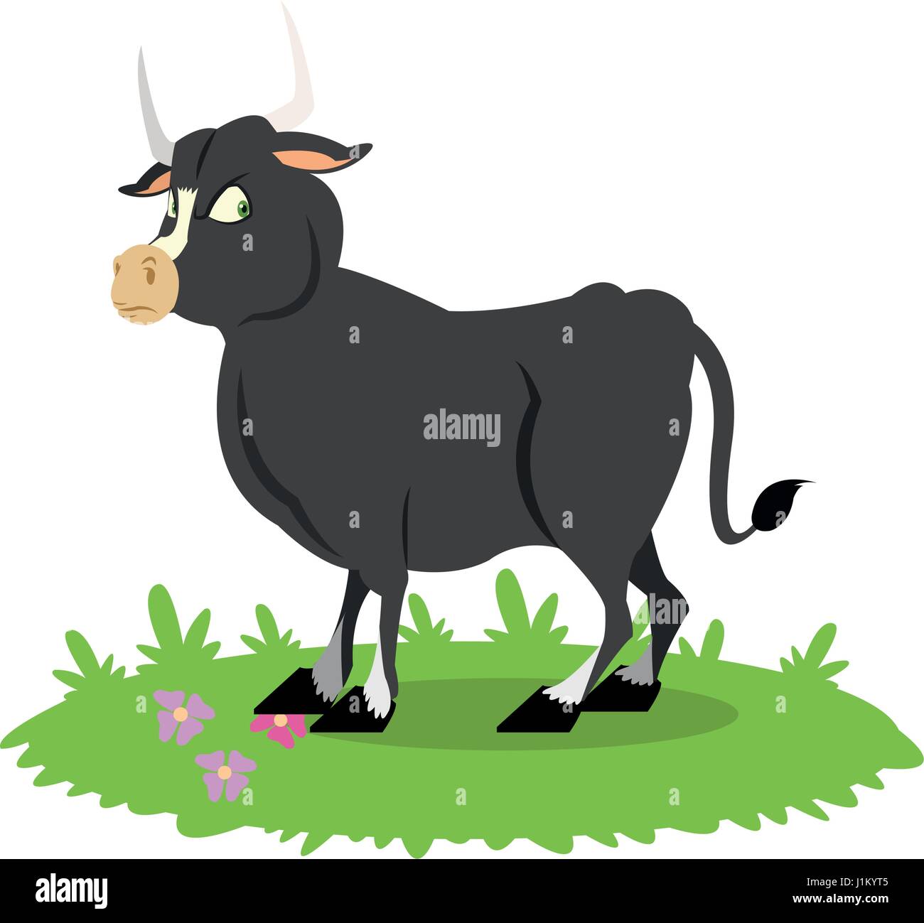 Isolated bull cartoon design Stock Vector Image & Art - Alamy