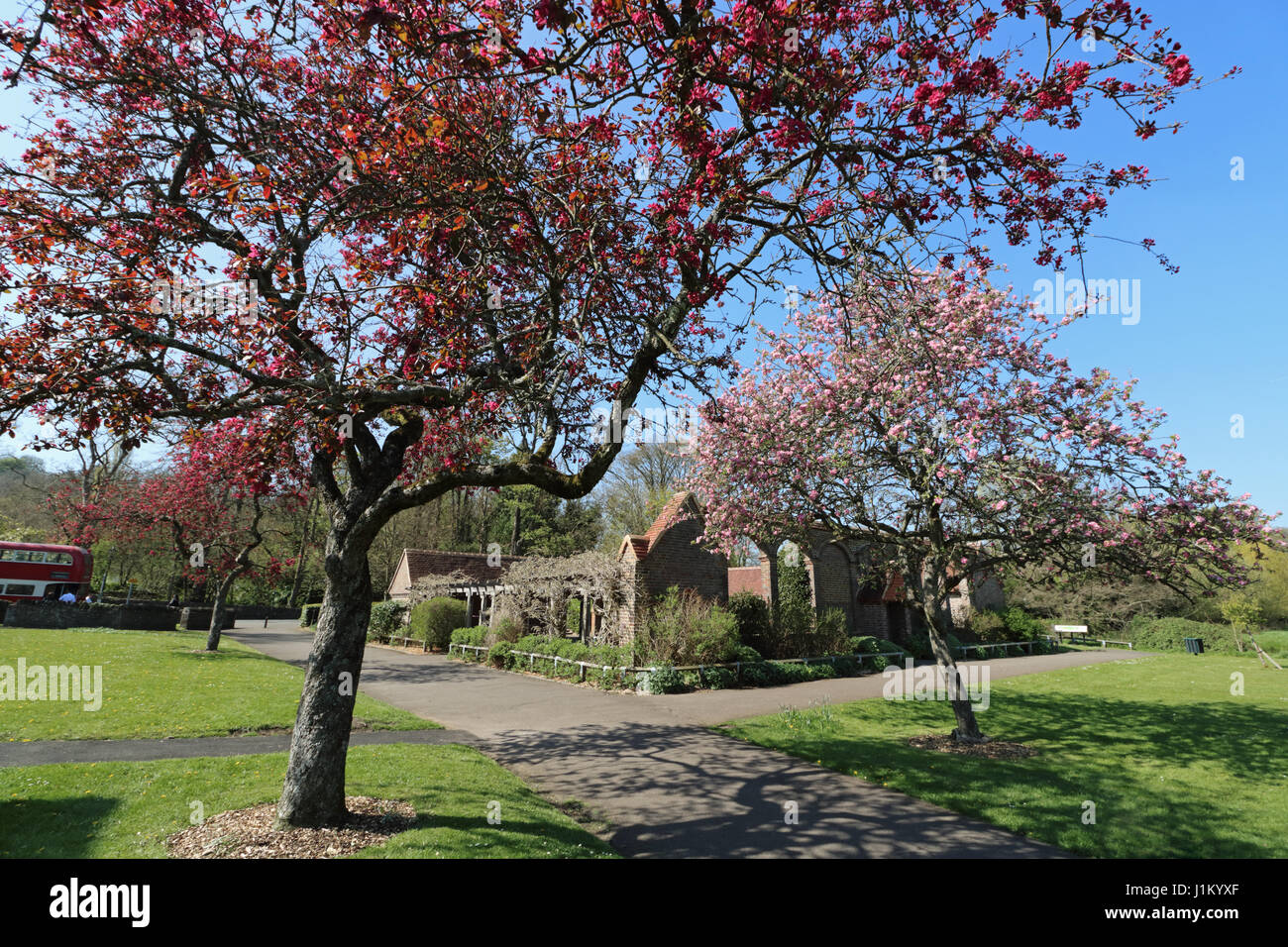 Phillips Memorial Park Godalming Surrey England Stock Photo - Alamy