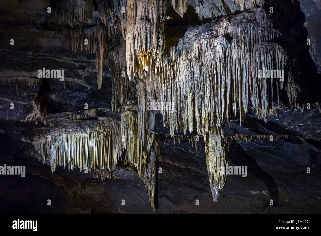 Curtain speleothem formation in cave hi-res stock photography and ...