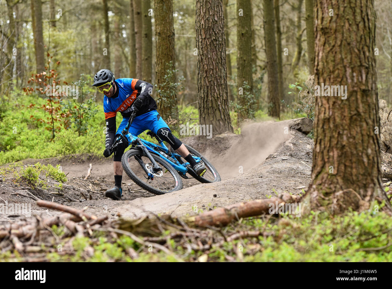 Mountain biking in Surrey hills - action shot Stock Photo - Alamy
