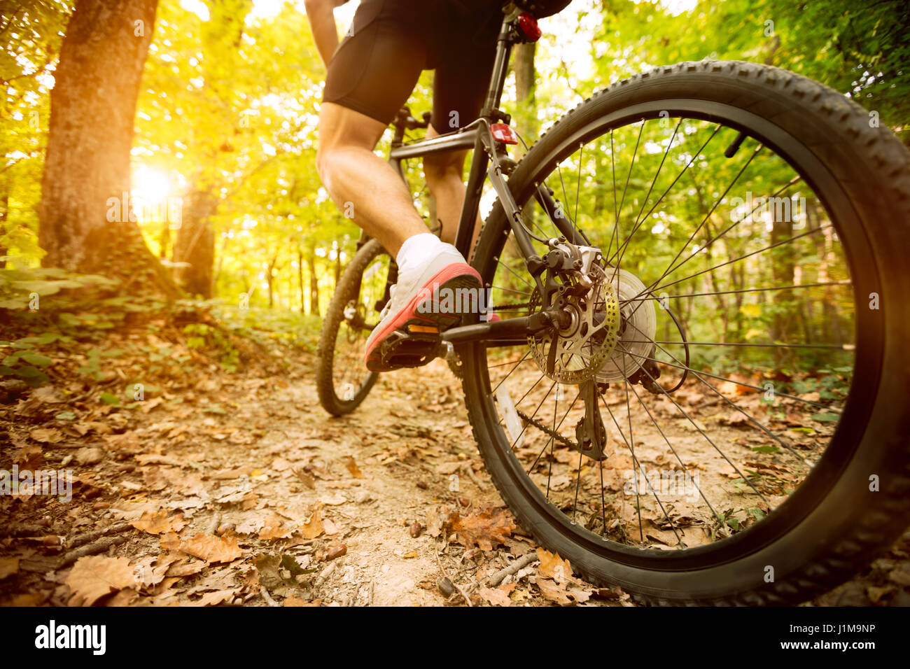 low angle view of cyclist riding mountain bike Stock Photo - Alamy