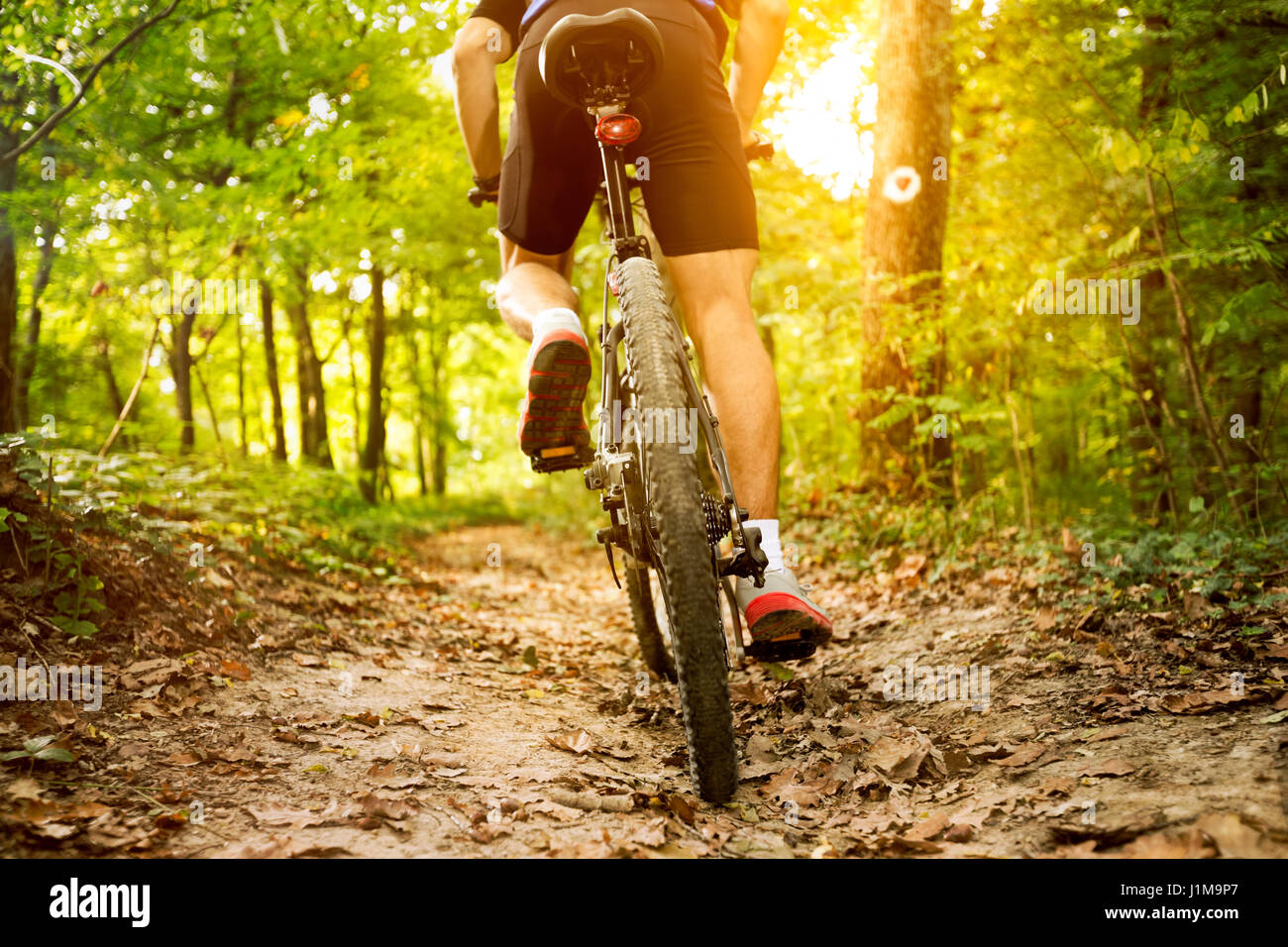 back view of mountain bike Stock Photo - Alamy