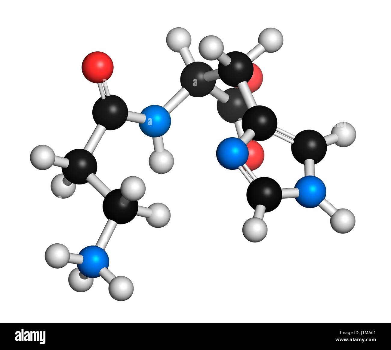 Carnosine (L-carnosine) food supplement molecule. 3D rendering. Atoms ...