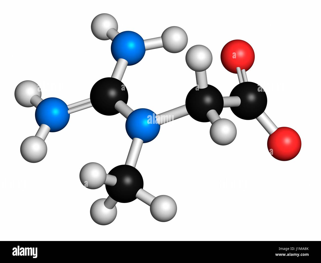 Creatine molecule. Often used in food supplements. Atoms are ...