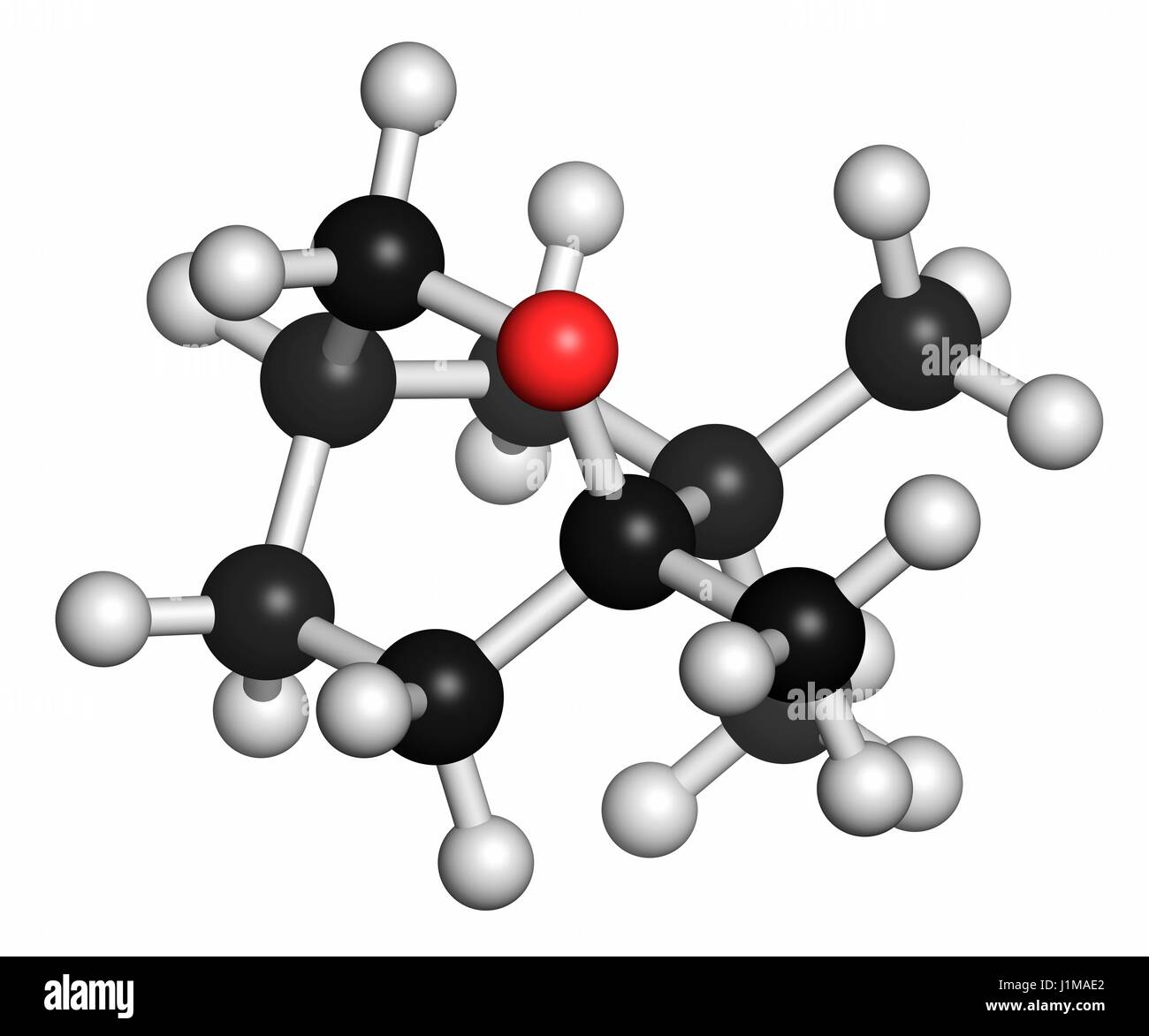 Eucalyptol eucalyptus oil molecule. Atoms are represented as spheres ...