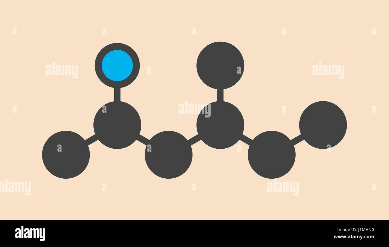 Methylhexanamine (dimethylamylamine, DMAA) stimulant molecule. Stylized ...