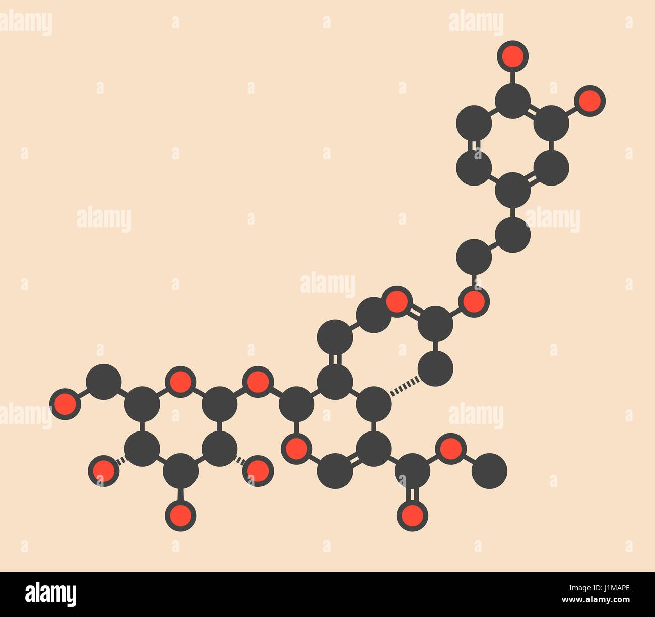Oleuropein olive component molecule. In part responsible for pungency ...