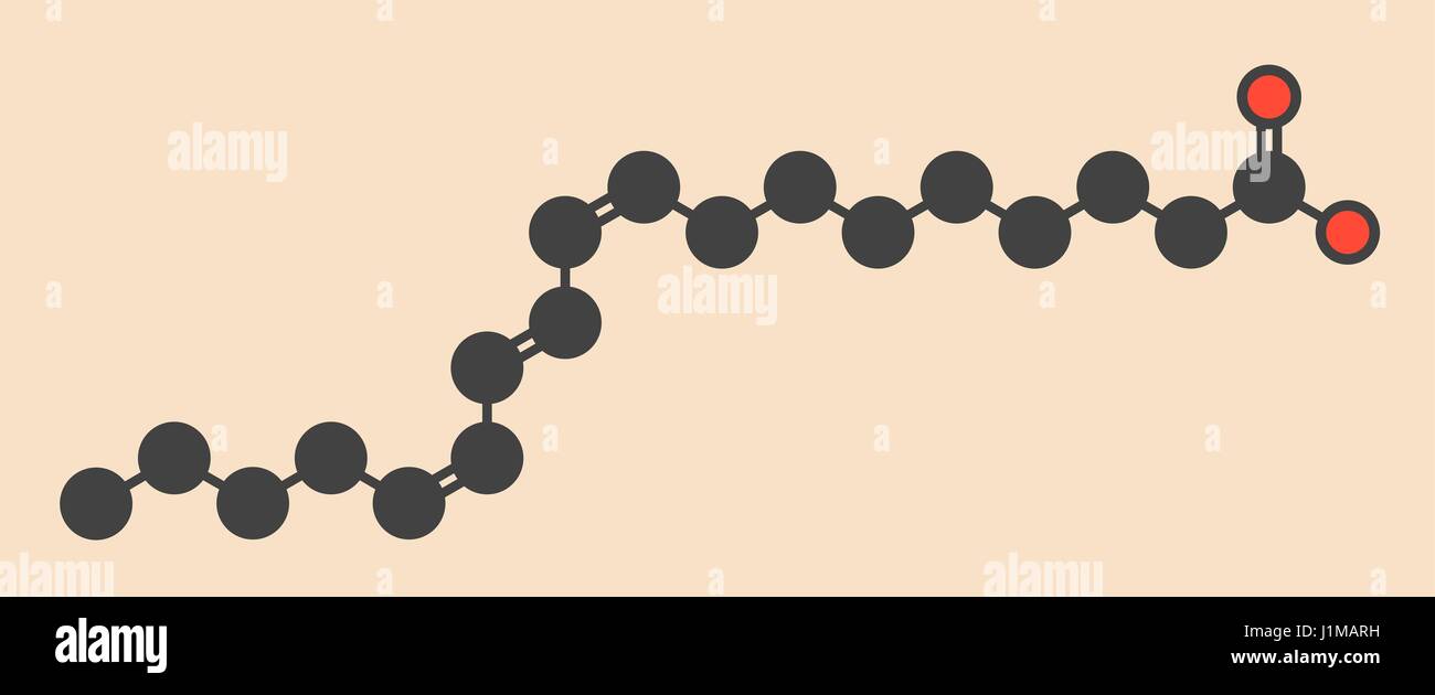 Punicic acid (trichosanic acid) molecule. Fatty acid present in ...
