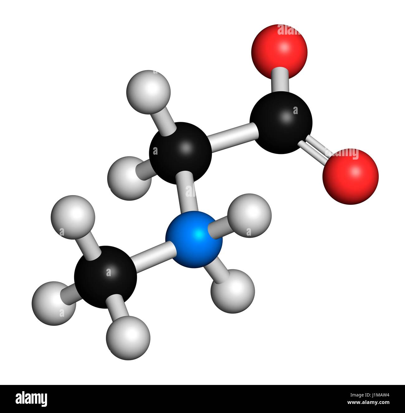 Sarcosine dehydrogenase Cut Out Stock Images & Pictures - Alamy