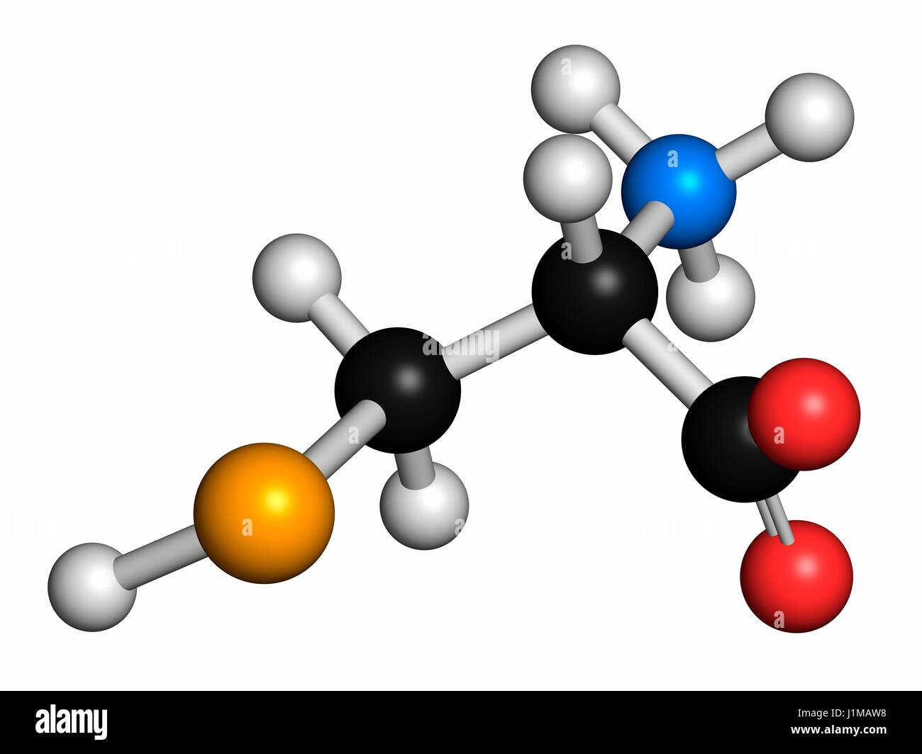 Selenocysteine amino acid molecule hi-res stock photography and images ...