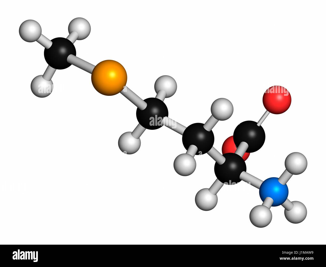 Selenomethionine Amino Acid Molecule Selenium Containing Natural