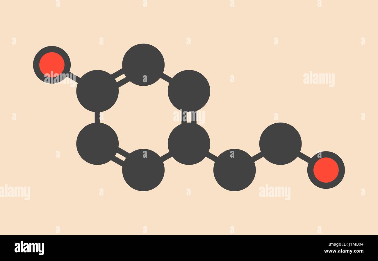 Tyrosol Olive Oil Antioxidant Molecule Stylized Skeletal Formula tyrosol-olive-oil-antioxidant-molecule-stylized-skeletal-formula