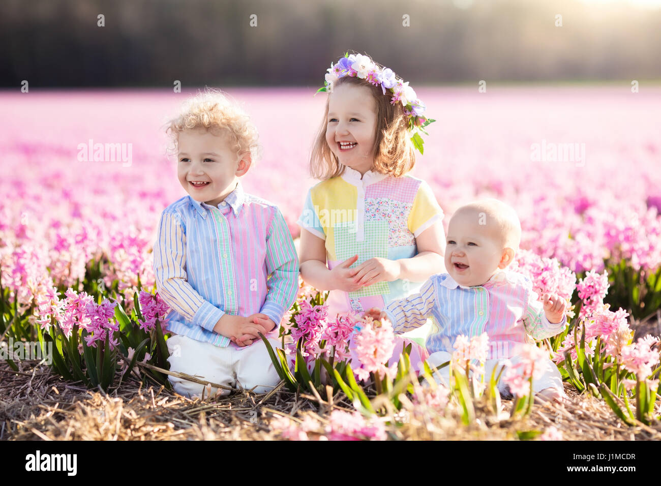 Three children playing in beautiful hyacinth flower field. Little girl ...