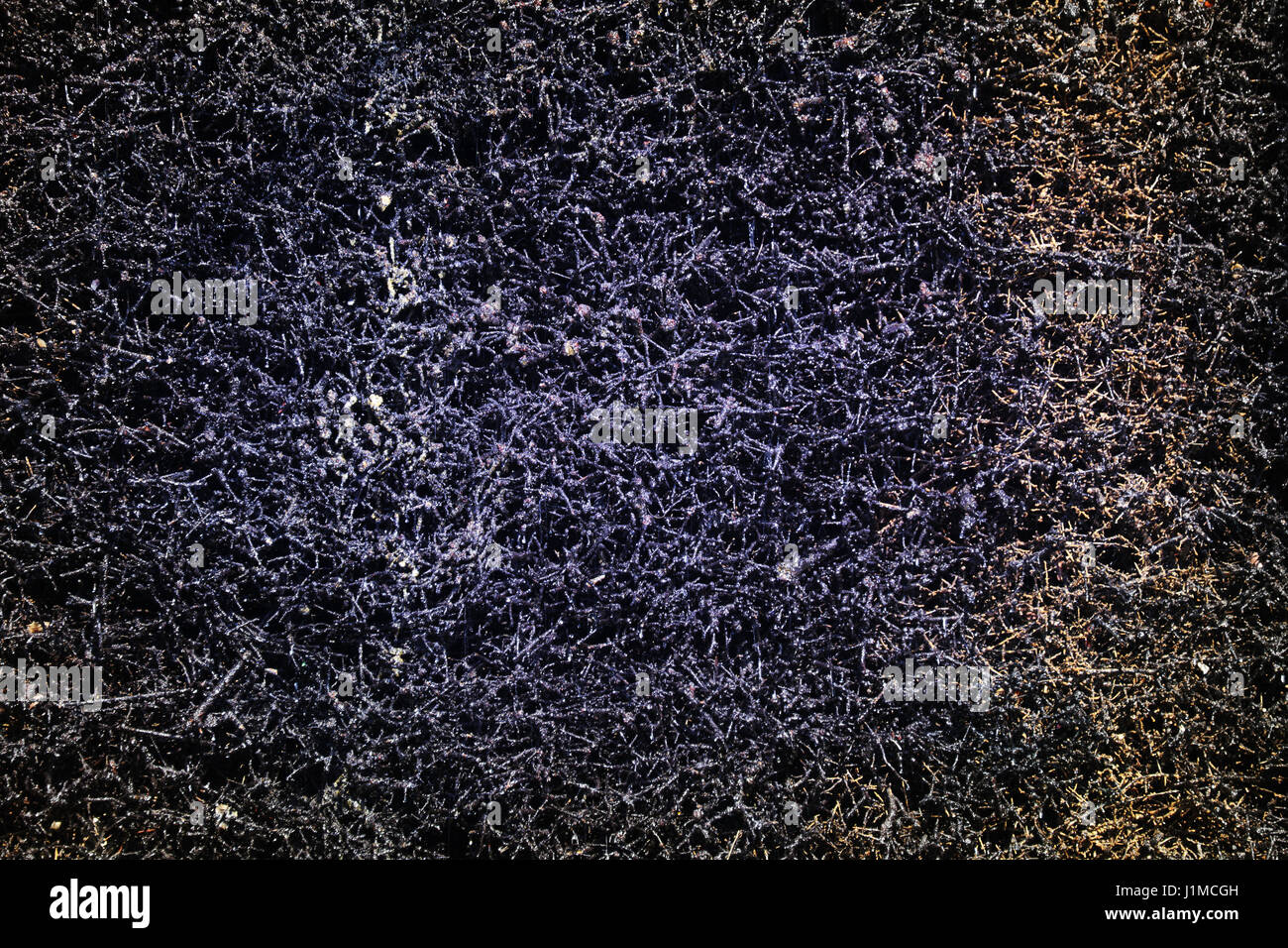 Grun muster hi-res stock photography and images - Alamy