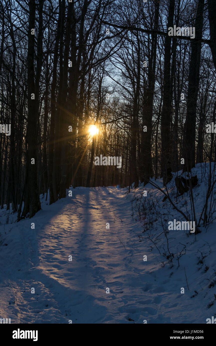 Forrest forrest forrest forrest forrest hi-res stock photography and ...