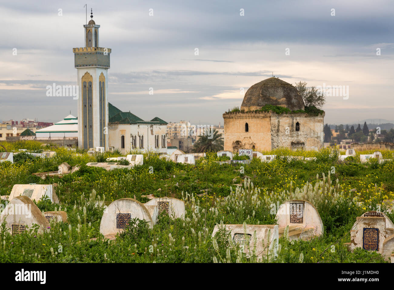 Arabic cemetery gravestone tombstone hi-res stock photography and ...