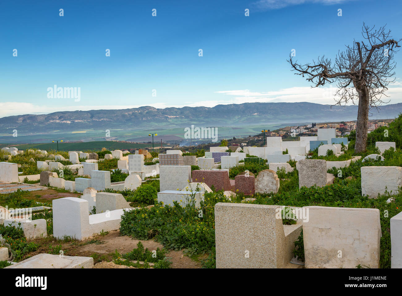 Arabic cemetery gravestone tombstone hi-res stock photography and ...