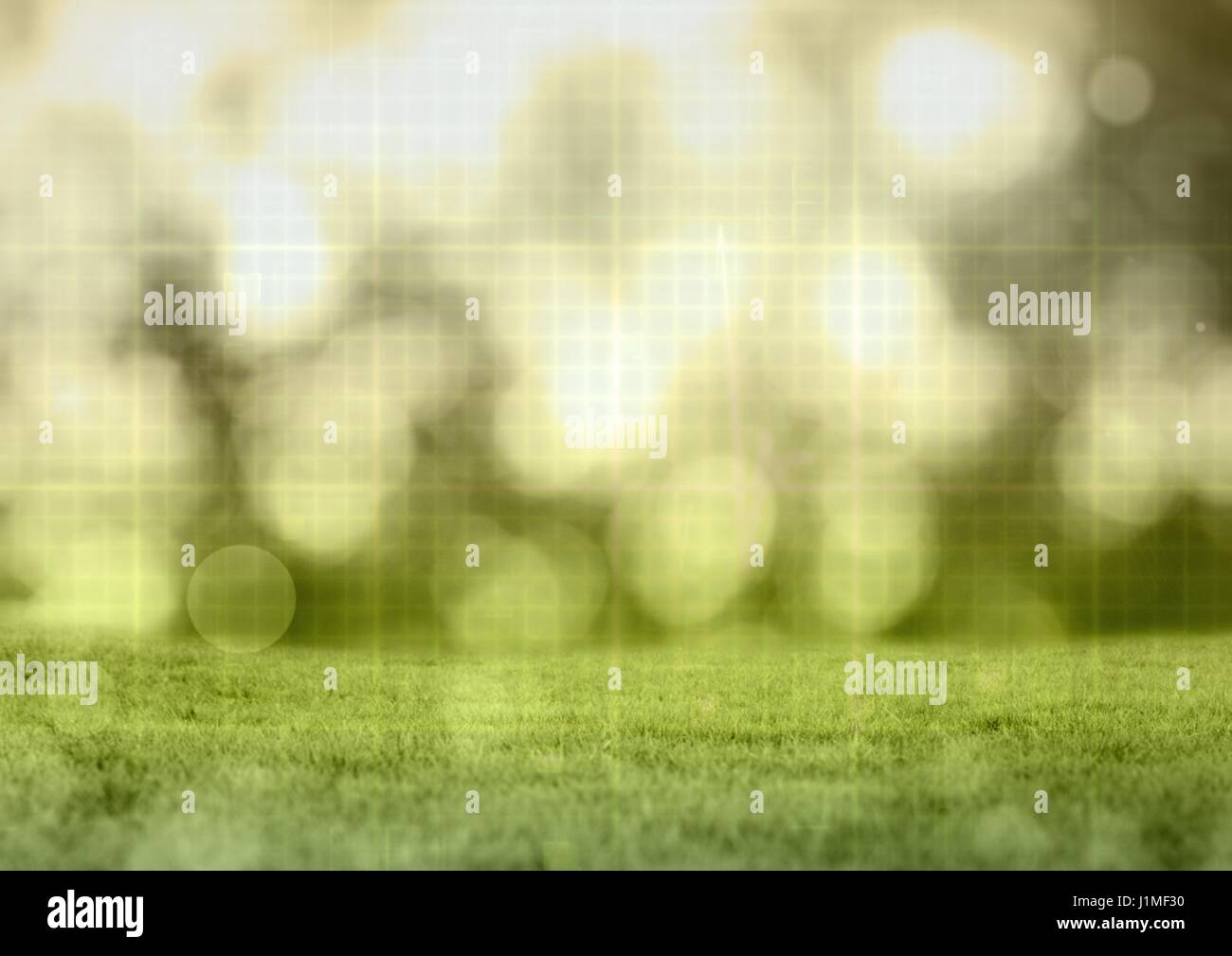 Digital composite of Sparkling grass and leaves with technology grid ...
